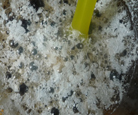 Caffenol and other edible and potable developing Experiments